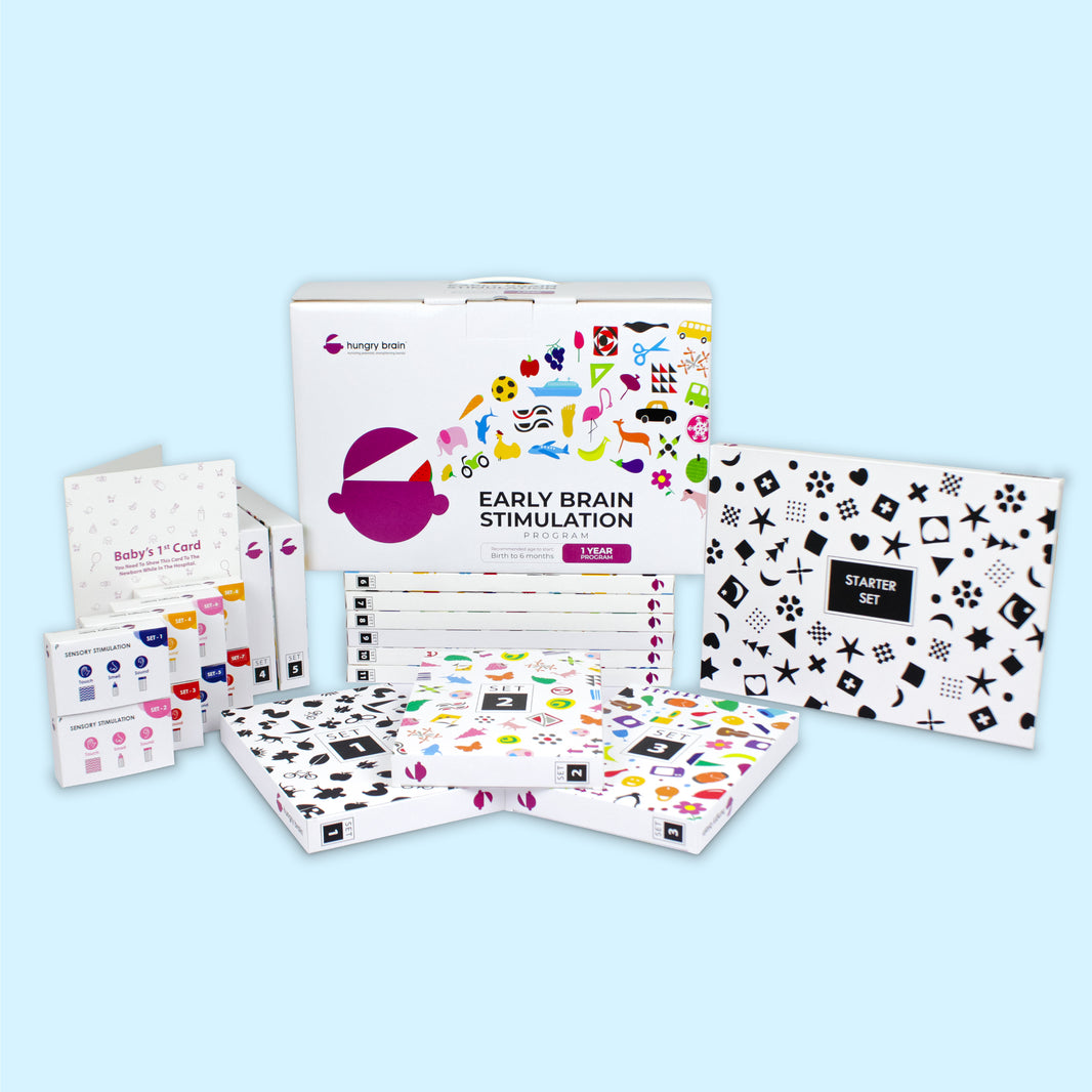 Hungry Brain: Early Brain Development Program | Parenting Courses