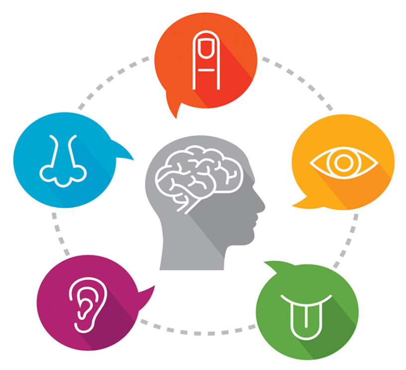 Star Program – Hungry Brain